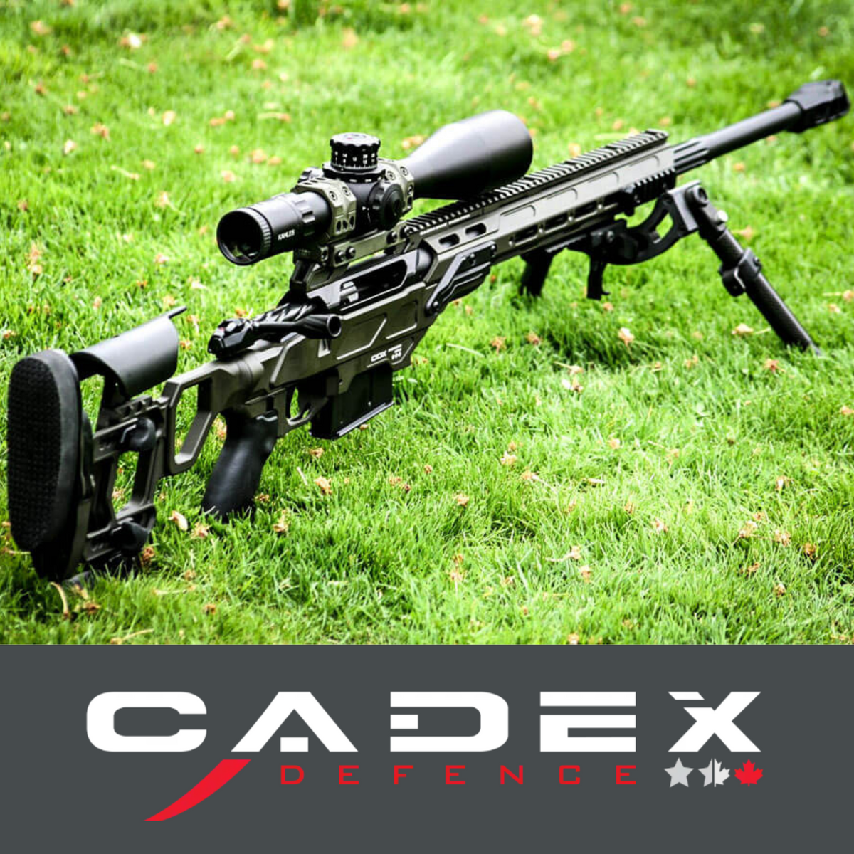 Cadex Chassis | Cadex Defense | Cadex Rifles | B&B Firearms™